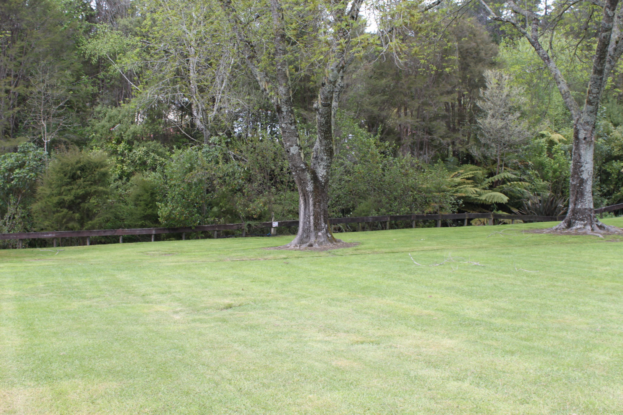 Group's Camp (Camp One) - Bethany Park